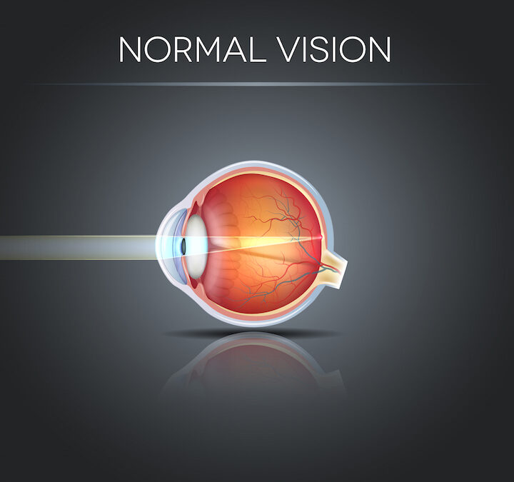 Human Normal Eye Vision Moran Eye Associates Human Normal Eye Vision Moran Eye Associates